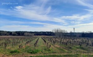 Villages du Nord de Montpellier | 10 jolis villages à découvrir