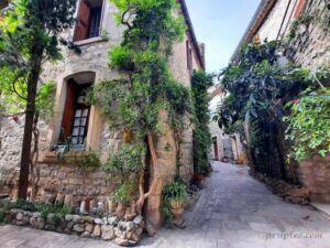 Villages du Nord de Montpellier | 10 jolis villages à découvrir